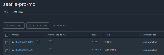 Seafile Pro Docker Compose Tips And Help On Installation Seafile Server Seafile Community Forum